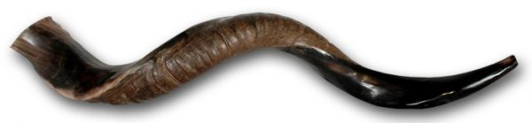 To Become a Living Shofar - Institute for Jewish Spirituality