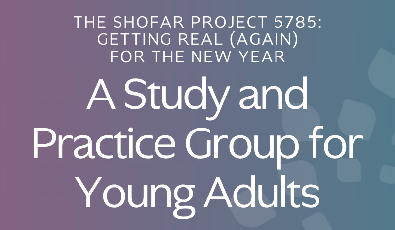 The Shofar Project 5785: A Study and Practice Group for Young Adults ...